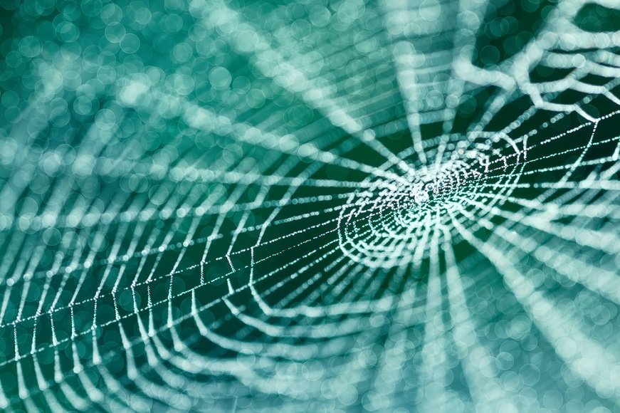 新素材・人工クモ糸のバイオベンチャーSpiber（スパイバー）、IPOへの期待 トヨタやゴールドウインも採用：夢の繊維「QMONOS ...