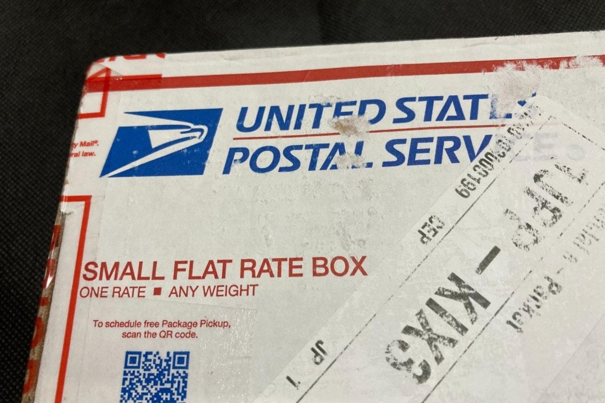 アメリカから届いた荷物を開封すると 「緩衝材に潜んでいた生物」が衝撃すぎた Limo くらしとお金の経済メディア 