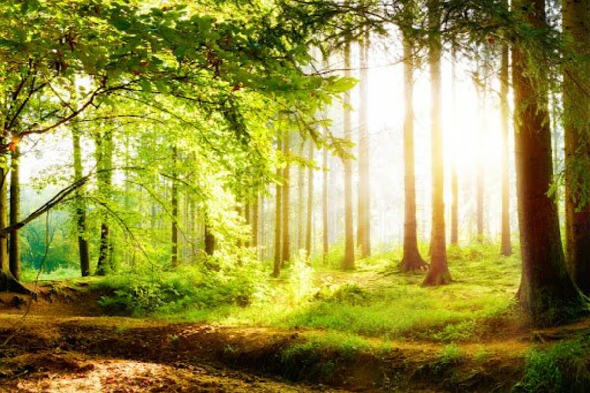 JTの株を1年前に買った人「リアルな儲け」はいくらか【株主優待・配当金・株価】（2022年12月中旬） 株式投資の企業別年間リターン解説シリーズ | LIMO | くらしとお金の経済メディア