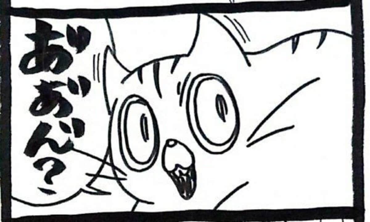 写真 | 猫を被るのはにゃんこも同じ…！？「ねこかぶり」描いた漫画にSNS反響 SNSで人気の漫画を紹介シリーズ | LIMO | くらしとお金の経済メディア