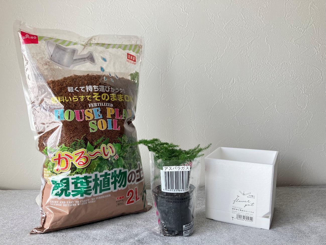 写真 | アスパラ観葉植物が【ダイソー】で110円！キューブ鉢と観葉植物土で春植え。 全部ダイソーでそろう！実際に使えるのかしっかりレビュー | LIMO | くらしとお金の経済メディア