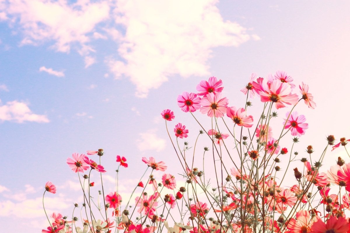 70歳代の夫婦世帯「貯蓄が3000万円以上」あっても【国民年金・厚生年金】の平均月額を知れば安心できない？！ 現代シニアは「年金だけで生活できない世帯」が58.3％… | LIMO | くらし ...