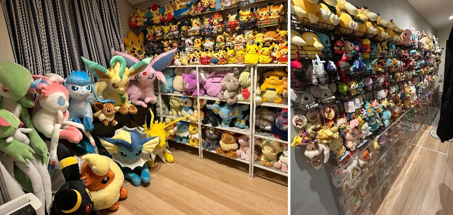ポケモンを愛する「25歳男性の部屋」に注目集まる 愛が溢れる光景に「スゴすぎる」 | 2ページ目 | LIMO | くらしとお金の経済メディア