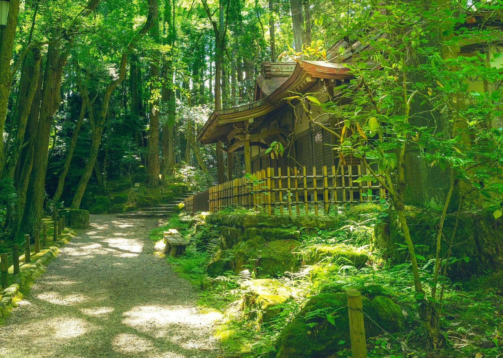 自然と一体化できそう…！？SNSで話題の新緑の写真がまるでジブリ SNSで人気の写真を紹介シリーズ | LIMO | くらしとお金の経済メディア