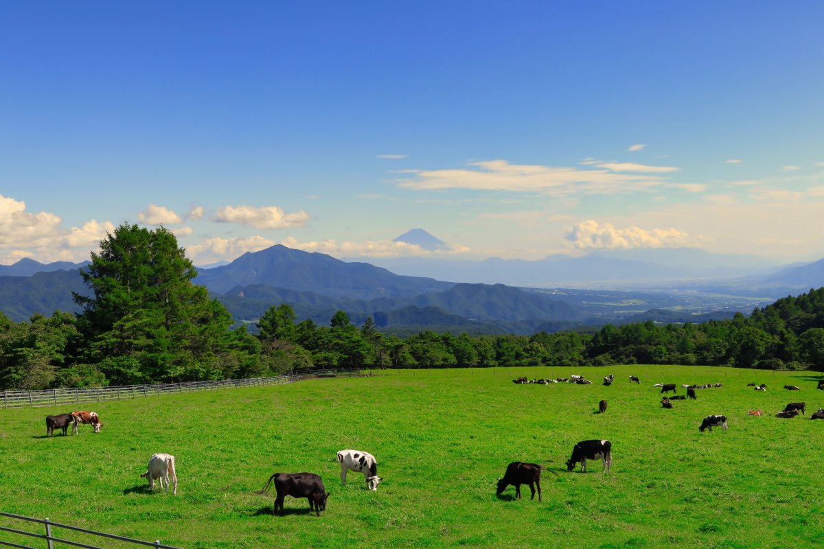 【全国旅行支援】2023年7月以降も延長する都道府県まとめ！中部・近畿編 | LIMO | くらしとお金の経済メディア