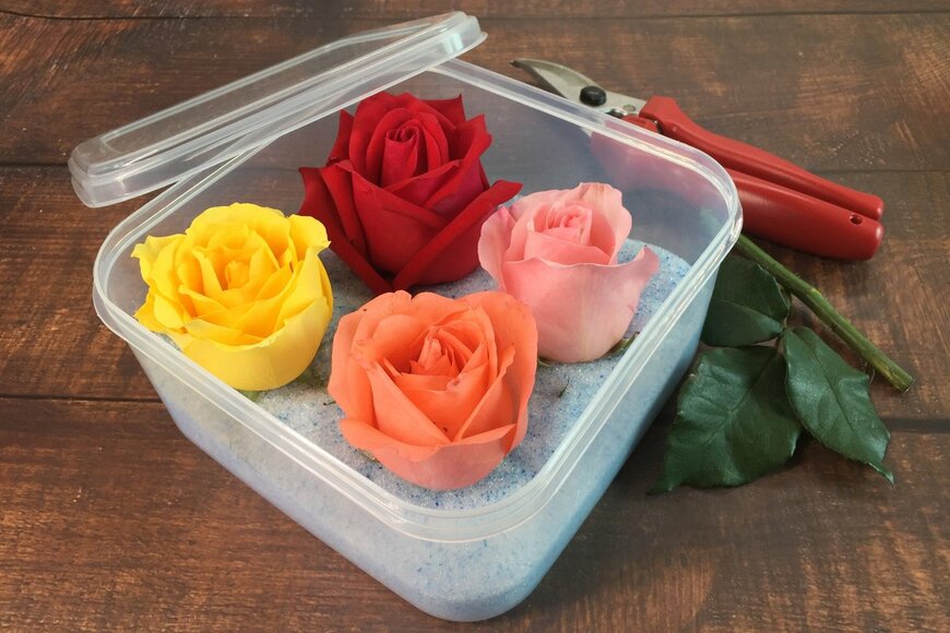 写真 | ドライフラワーの作り方＆オススメの花5選！オシャレに楽しめる飾り方も紹介 | LIMO | くらしとお金の経済メディア