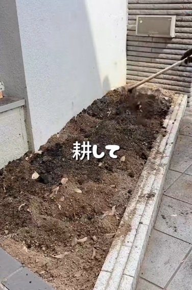 築35年中古戸建【お庭DIY】荒れっぱなしの花壇が「夏野菜の家庭菜園」に大変身！「置くだけ」の簡単リフォーム！ 汗をかく前に終わっちゃう！？ | 2ページ目 | LIMO | くらしとお金の ...