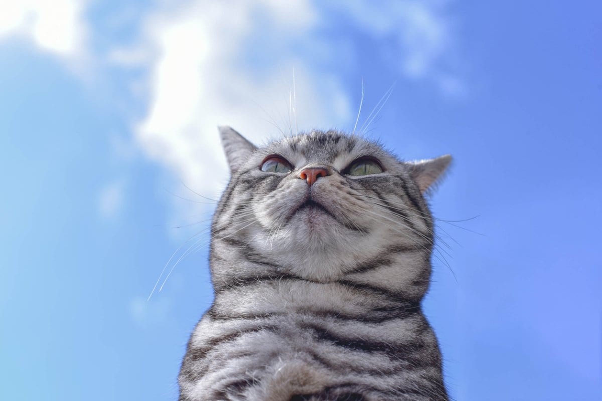 【老齢年金の一覧表】「厚生年金・国民年金」みんな月額いくら受け取ってる？ 年齢別＆個人差をチェック | LIMO | くらしとお金の経済メディア