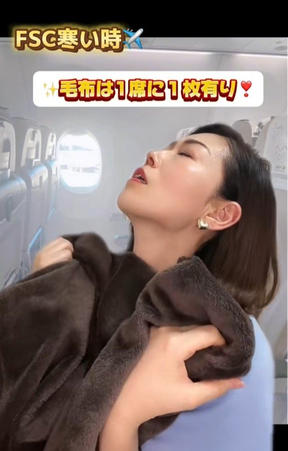 写真 | FSCとLCCのサービスが違いすぎる？「飲み物や機内食は必要ない」「イレギュラー時の対応が違う」との声も | LIMO | くらしとお金の経済メディア