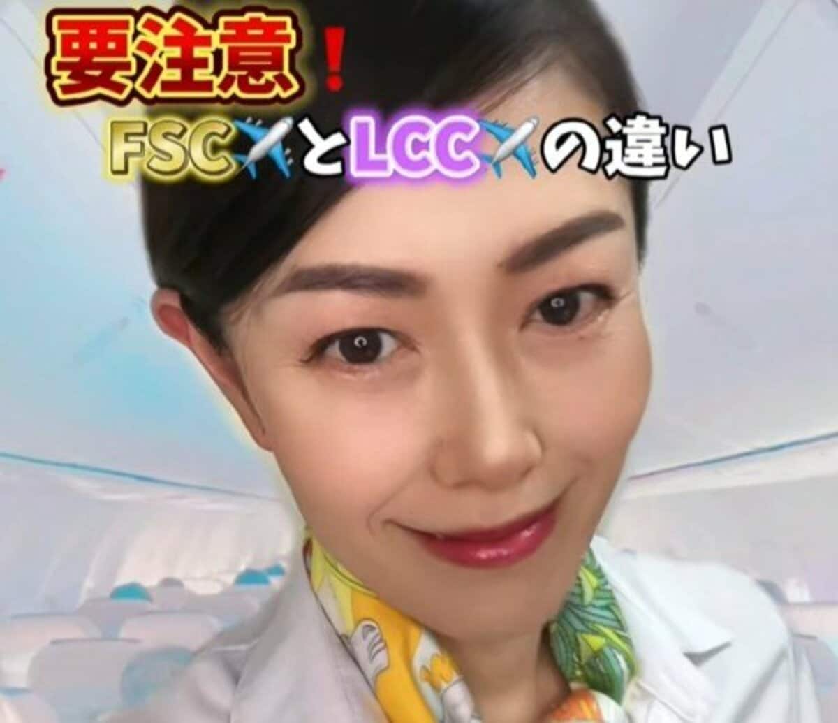 写真 | FSCとLCCのサービスが違いすぎる？「飲み物や機内食は必要ない」「イレギュラー時の対応が違う」との声も | LIMO | くらしとお金の経済メディア
