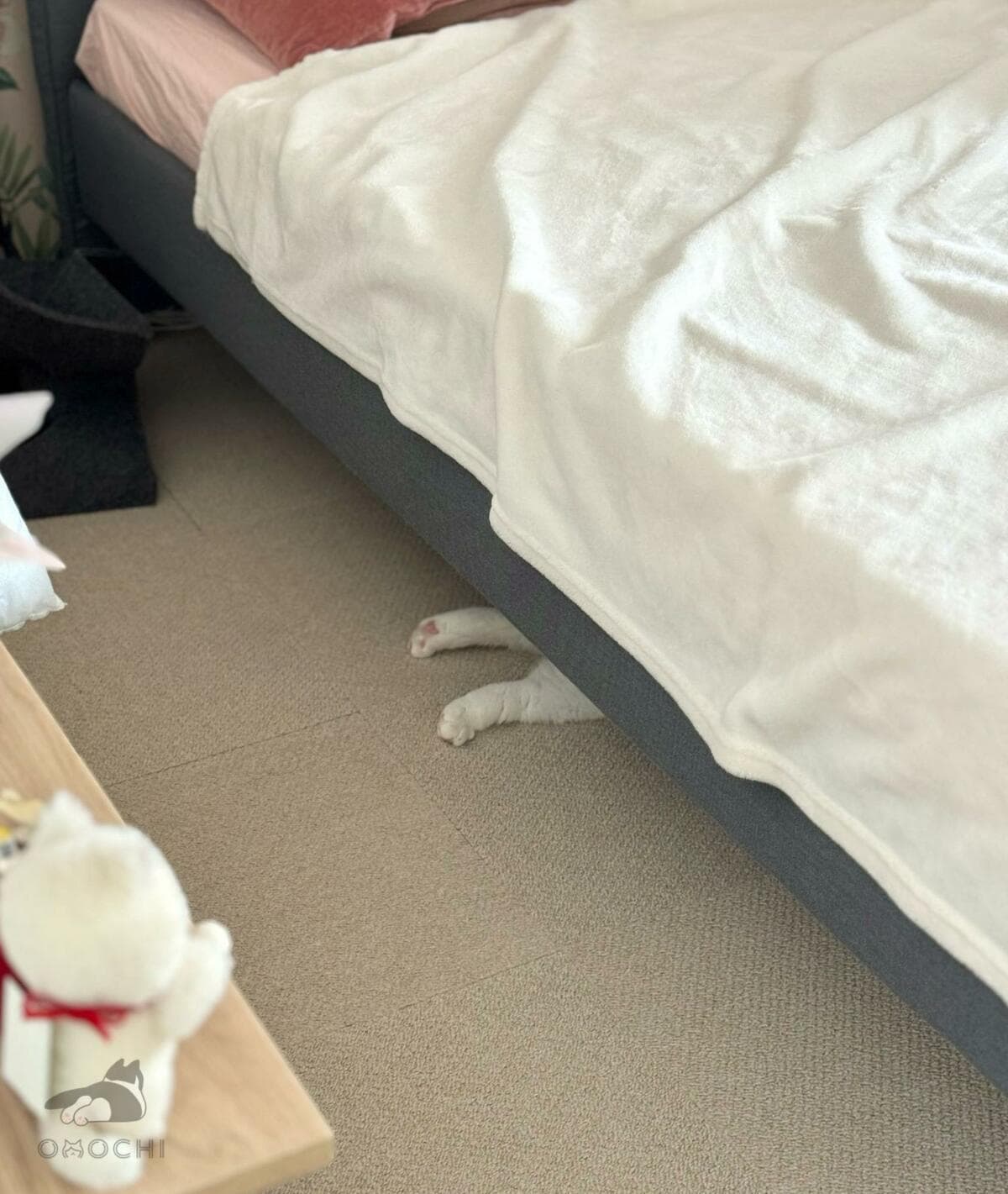 写真 | 猫ちゃんがいない！探していると 「まさかの光景」に思わず笑っちゃう！ 「バ、バカンス中ですか…？（笑）」の声 | LIMO ...