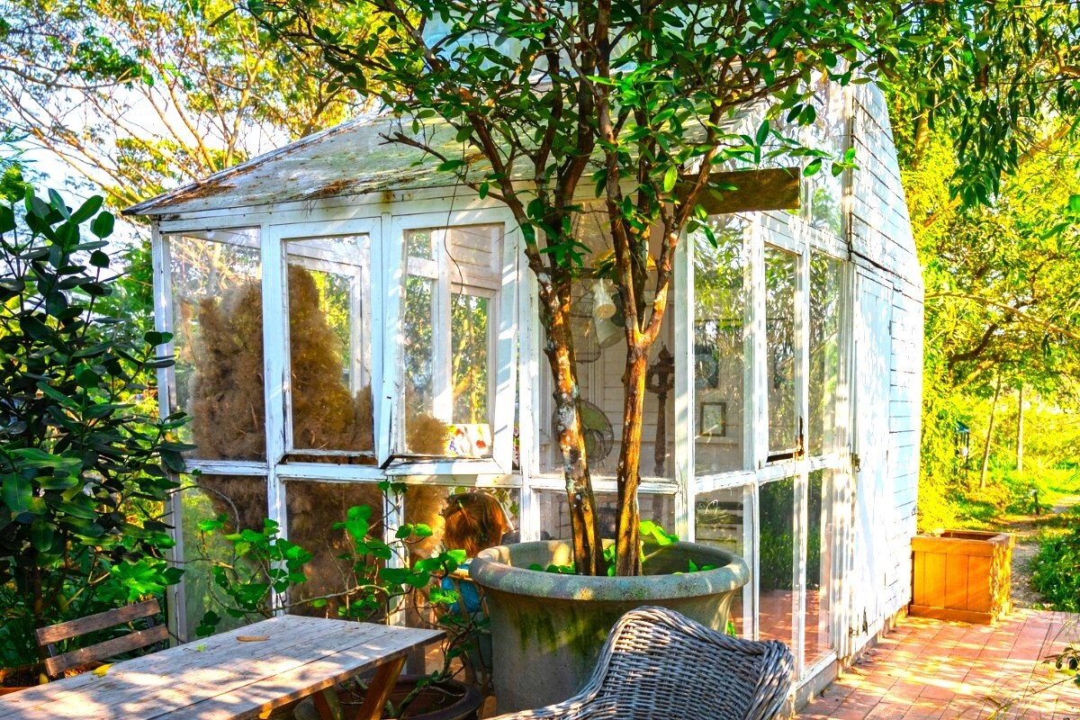 【ガーデニング】庭に合わせたシンボルツリーの選び方＆オススメ〈人気の植木5選〉 シンボルツリーを植えるなら苗木が出回る前、冬のうちの計画がベスト！ | LIMO | くらしとお金の経済メディア