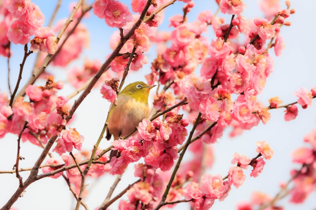 【最新版】60歳代「貯蓄3000万円以上」の割合は？老後に向けた資産設計2つも解説 金融広報中央委員会「家計の金融行動に関する世論調査[二人以上世帯調査]2022年（令和4年）」を確認 ...